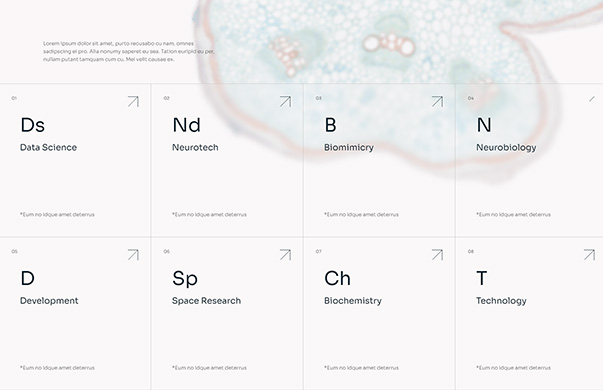 land-frame-img1-3 – Xecta Digital Labs