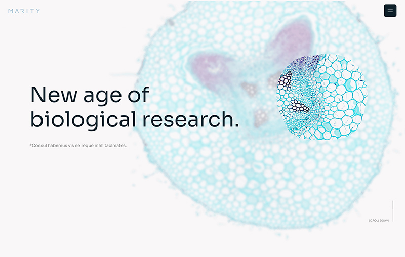 landing-headers-3-1 – Xecta Digital Labs